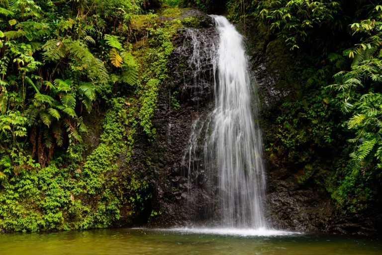 Saut du Gendarme Martinique : Découvre la Cascade Iconique de l'Outre ...