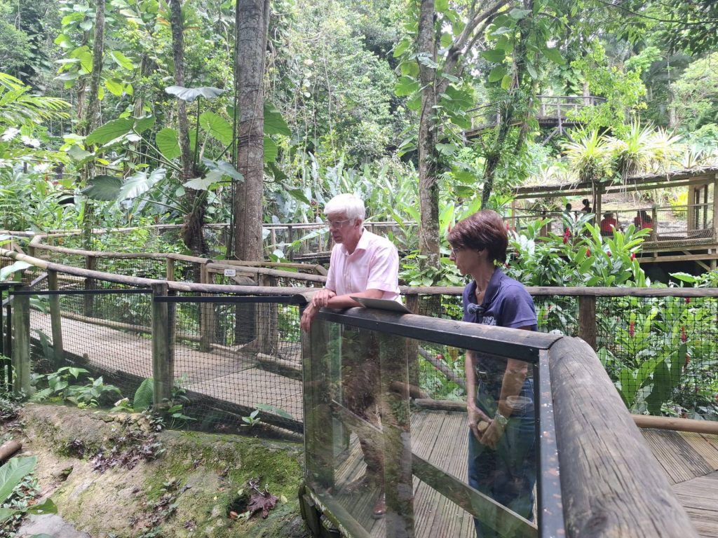 Atelier herboristerie et jardin créole en Guadeloupe : explorez le ...