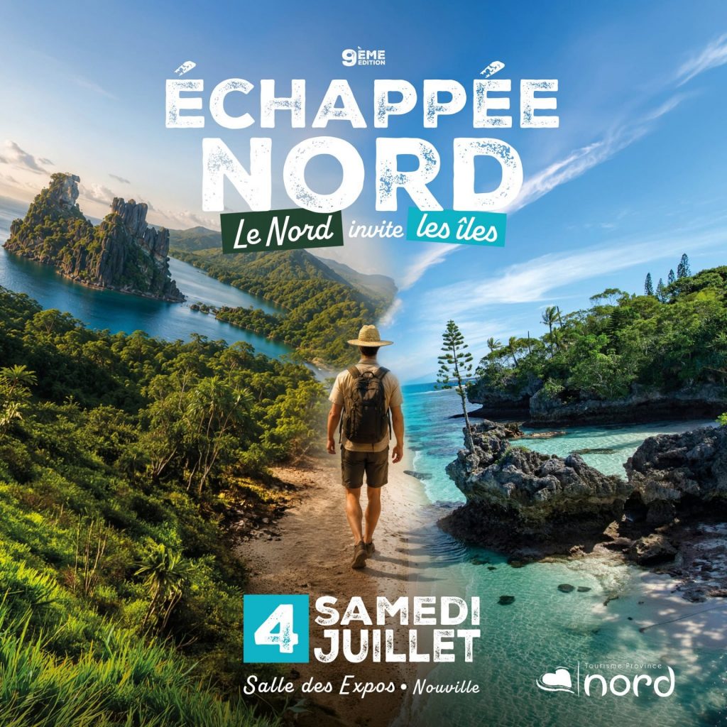 Quelles activités faire entre lagon et mangrove ? Notre guide avec ...
